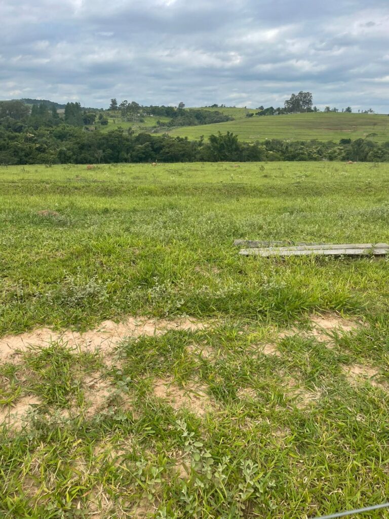 Sítio à Venda em Corumbataí/SP | 1 Alqueire – J Sampaio Rurais